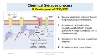 Synapse | PPT