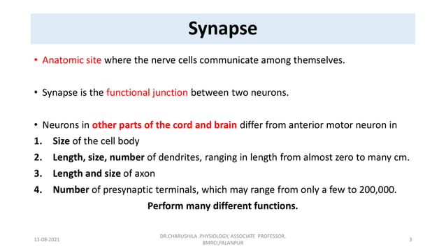 Synapse | PPT