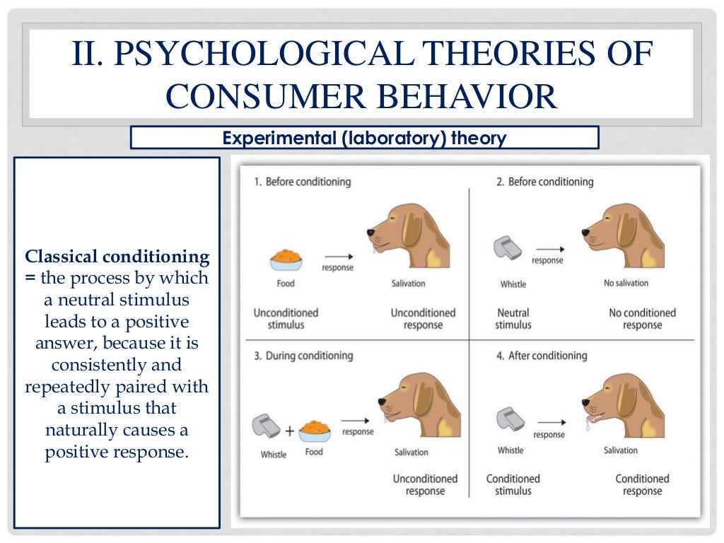 lecture-2-theories-and-models-of-consumer-behavior