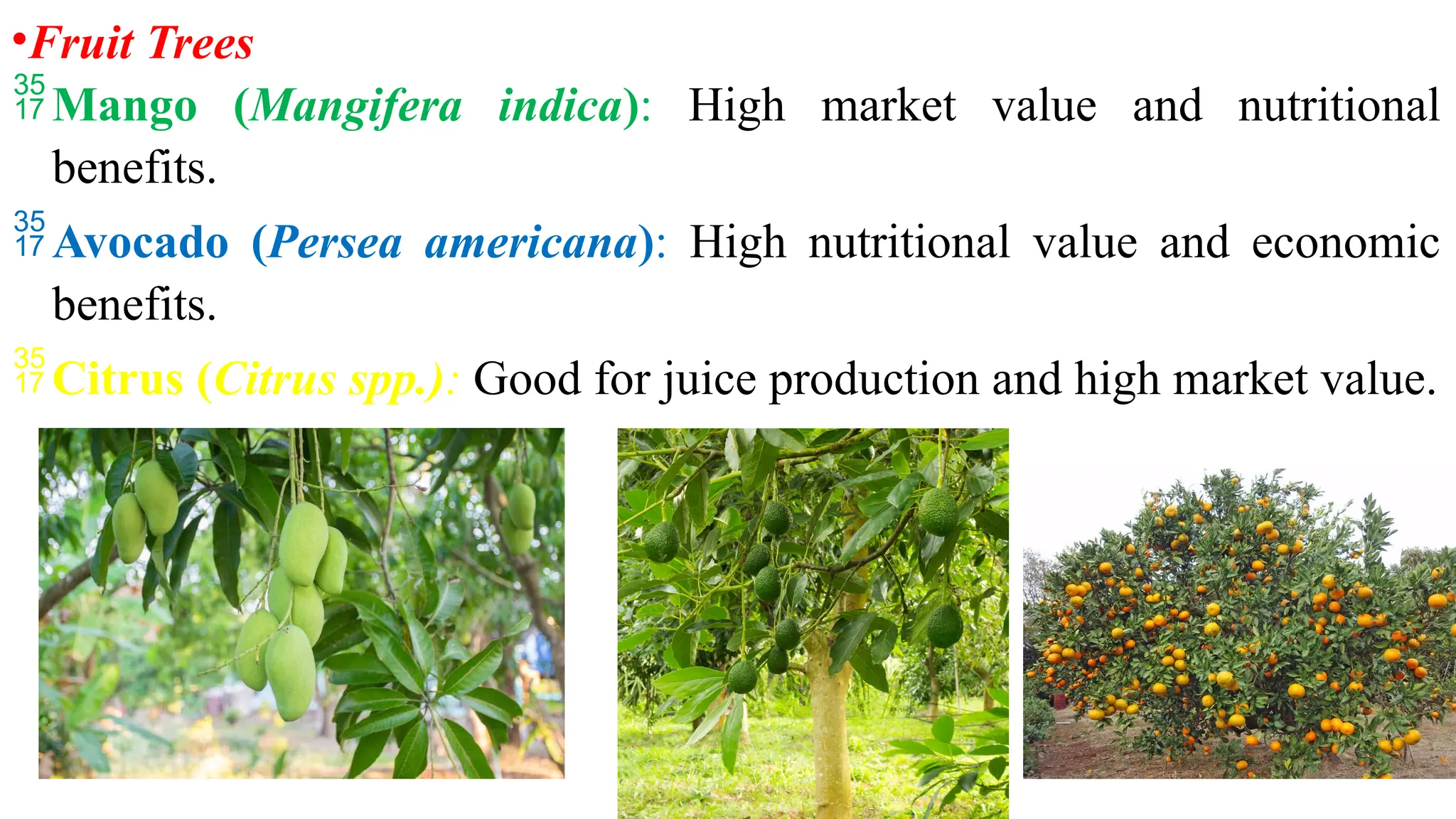 Lecture 2- Tree Selection and Improvement.pptx