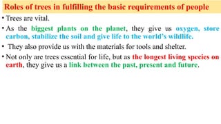 Lecture 2- Tree Selection and Improvement.pptx
