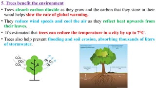 Lecture 2- Tree Selection and Improvement.pptx