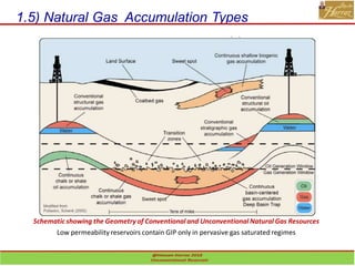 Unconventional Gas Reservoir | PDF