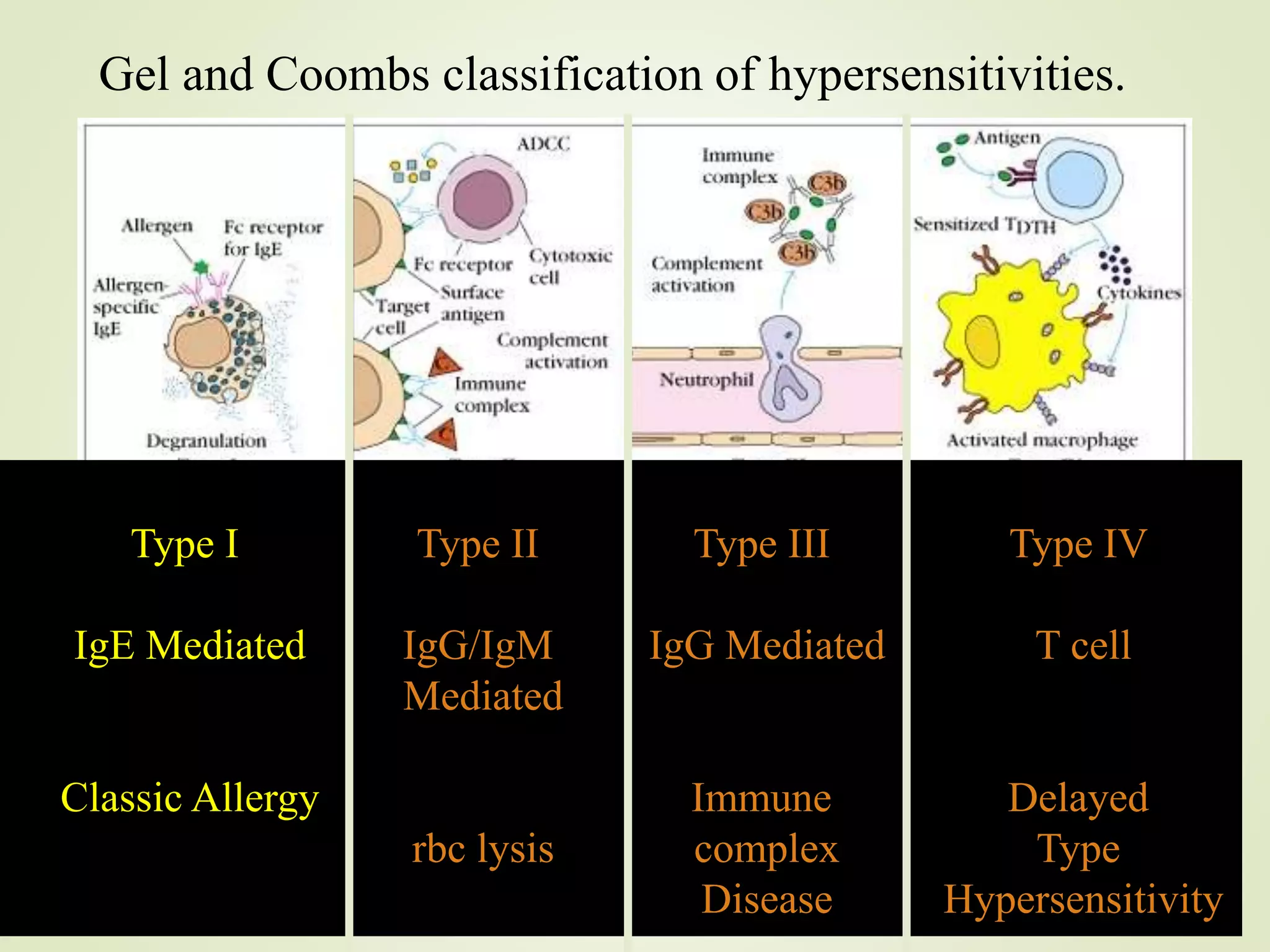 Hypersensitivity - medical information ( a detailed study ) | PPT