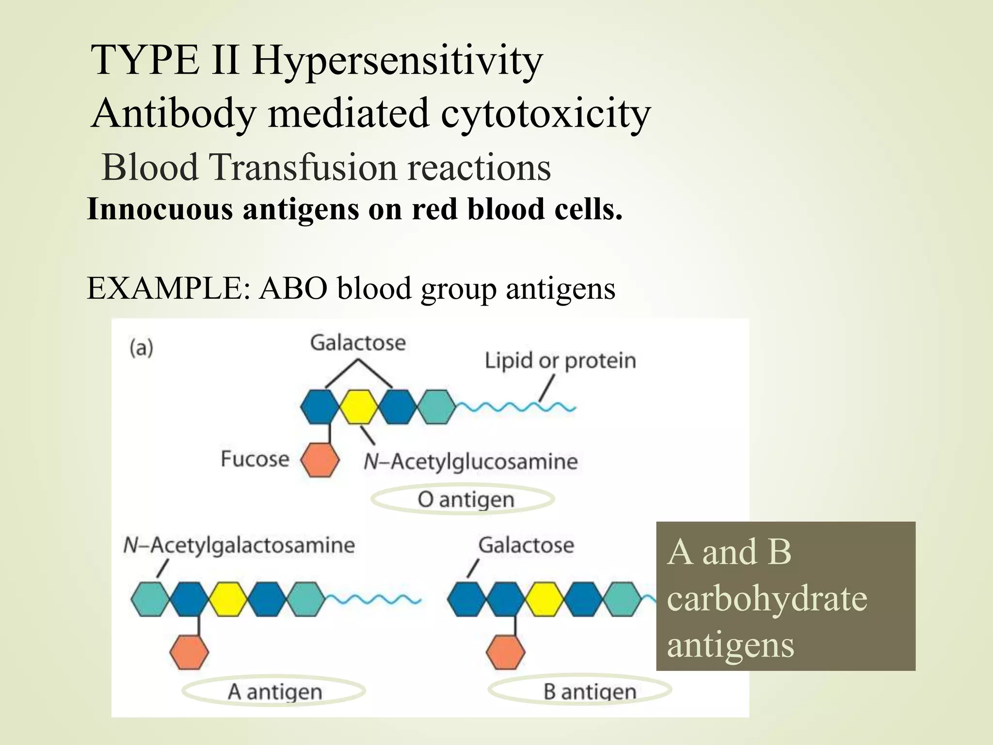 Hypersensitivity - medical information ( a detailed study ) | PPT