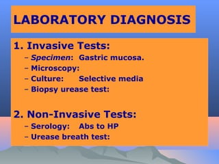 Lecture 20 Campylocbacter and Helicobacter | PPT