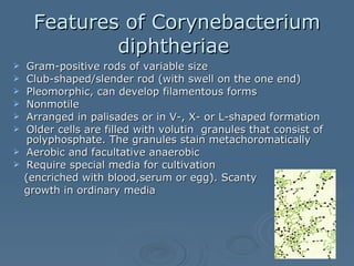 Bohomolets Microbiology Lecture #20 | PPT