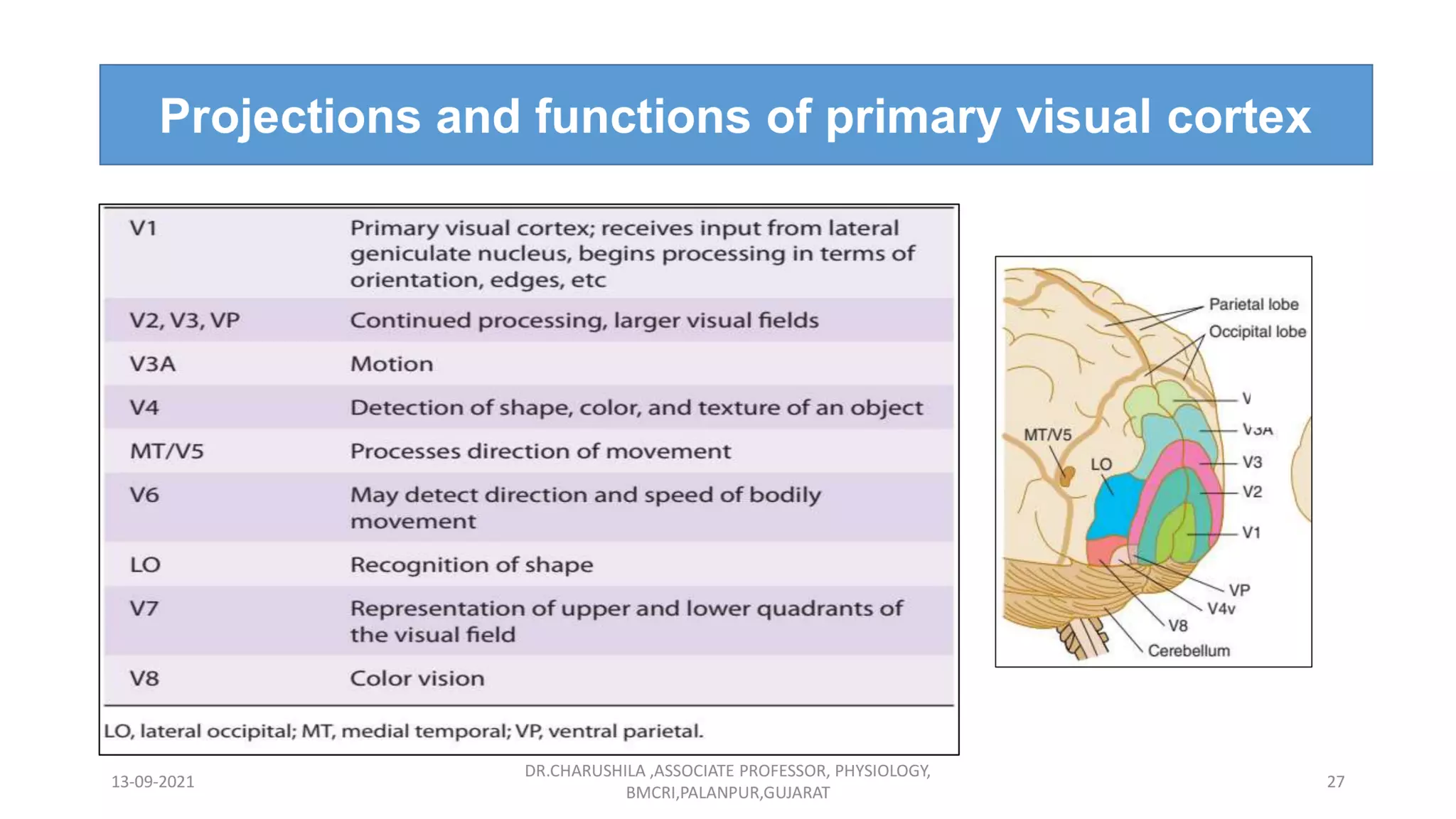 Lecture 5/2022 Special senses -Vision 5 -Physiology of vision - Visual ...