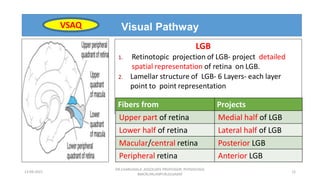 Lecture 5/2022 Special senses -Vision 5 -Physiology of vision - Visual ...