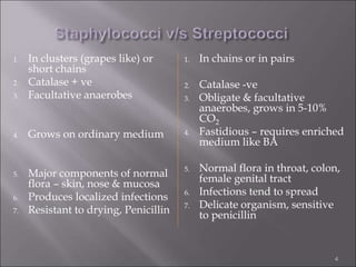Lecture%20# 1 Microbiology 6th.ppt