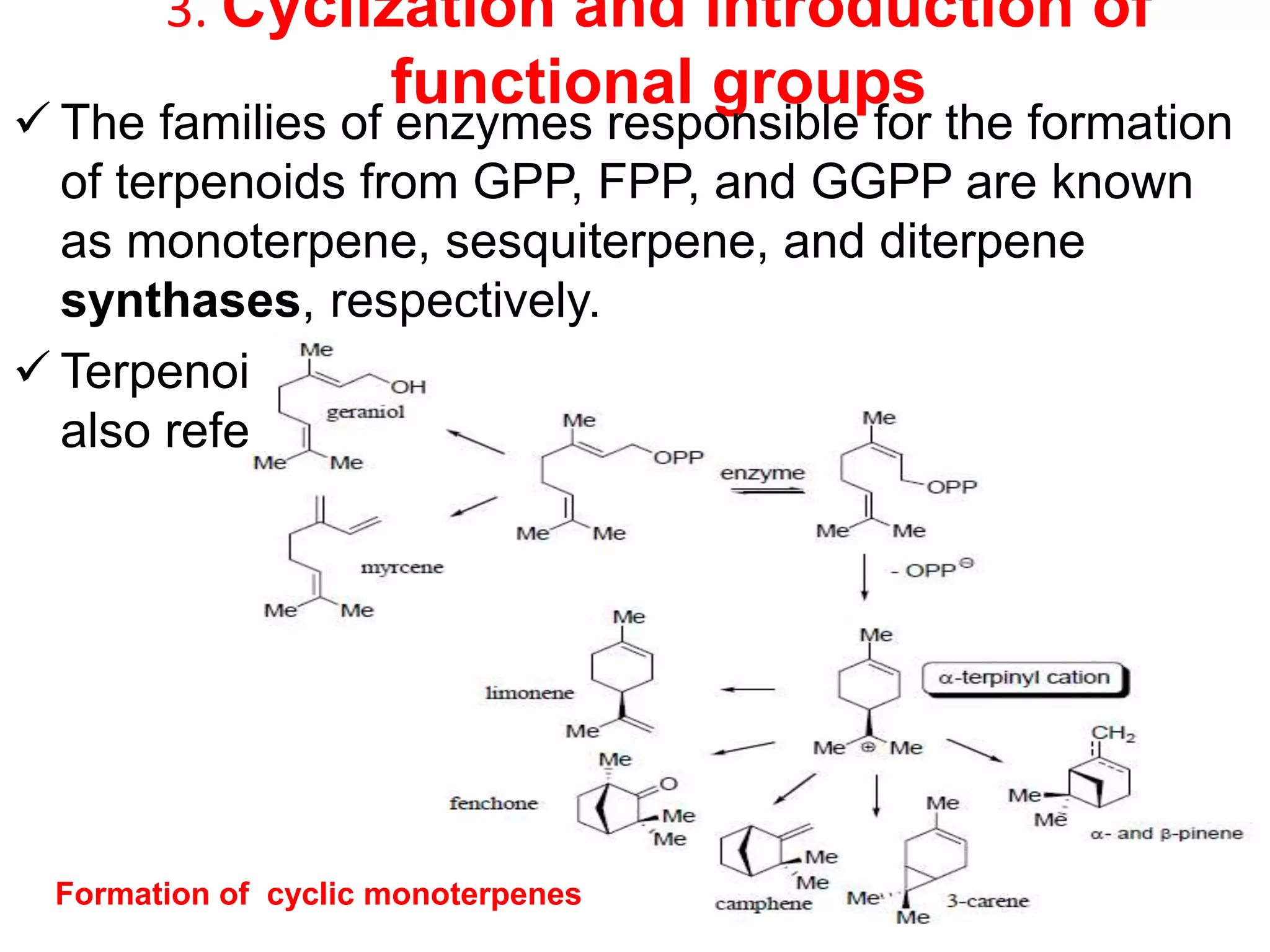 Lecture%202.%20Terpenoids%20bioynthesis.pptx
