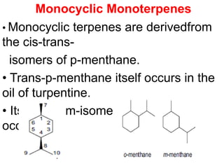 Lecture%202.%20Terpenoids%20bioynthesis.pptx