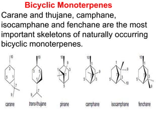 Lecture%202.%20Terpenoids%20bioynthesis.pptx