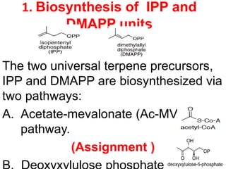 Lecture%202.%20Terpenoids%20bioynthesis.pptx