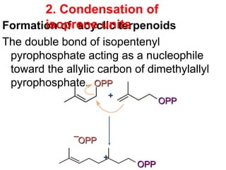 Lecture%202.%20Terpenoids%20bioynthesis.pptx