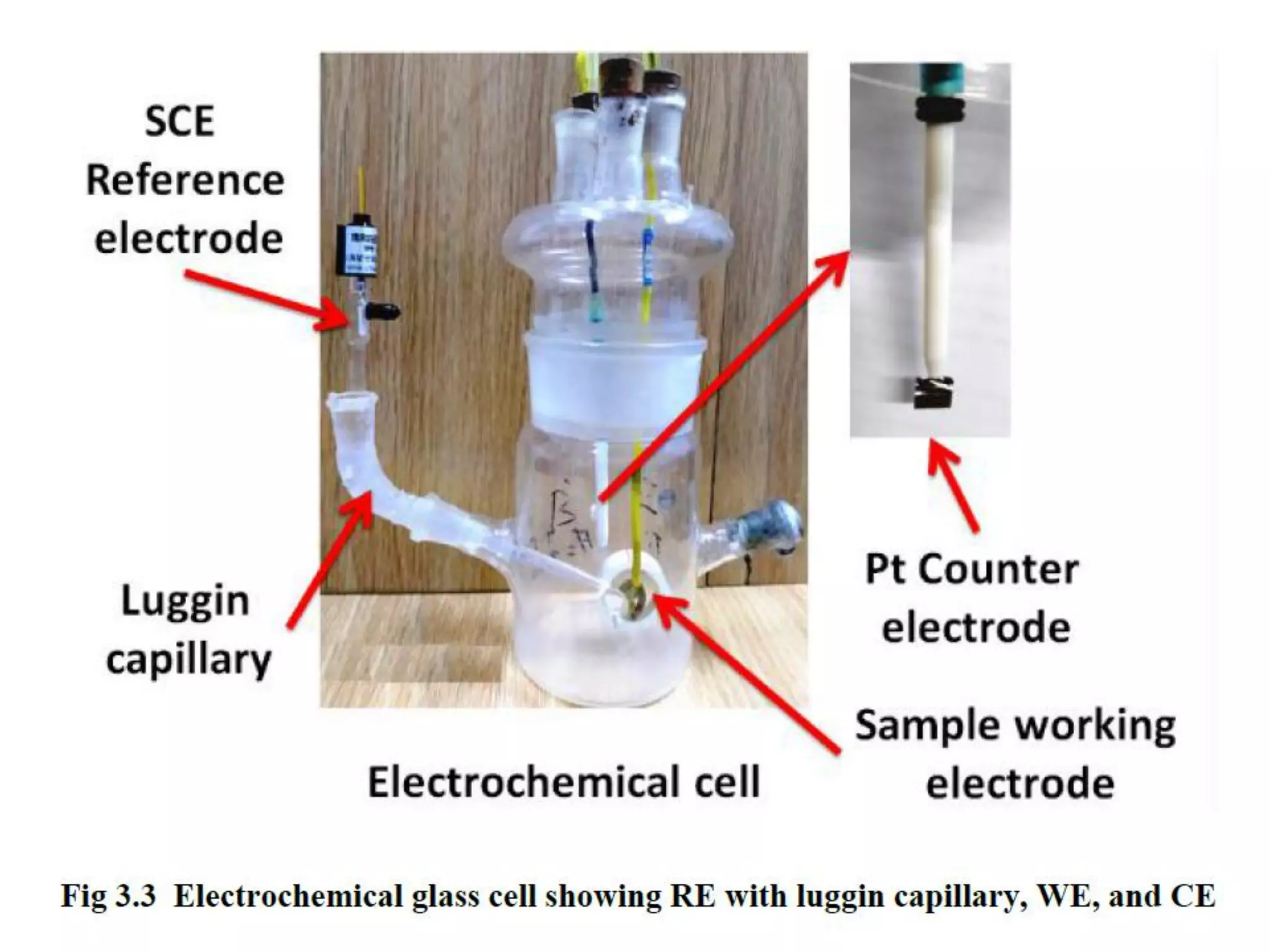 Corrosion Testing's: OCP, LPR, and PD | PDF