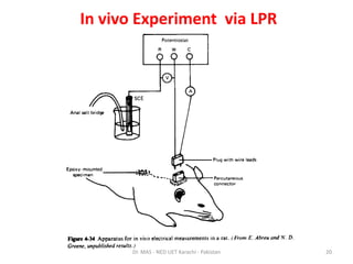 Corrosion Testing's: OCP, LPR, and PD | PDF