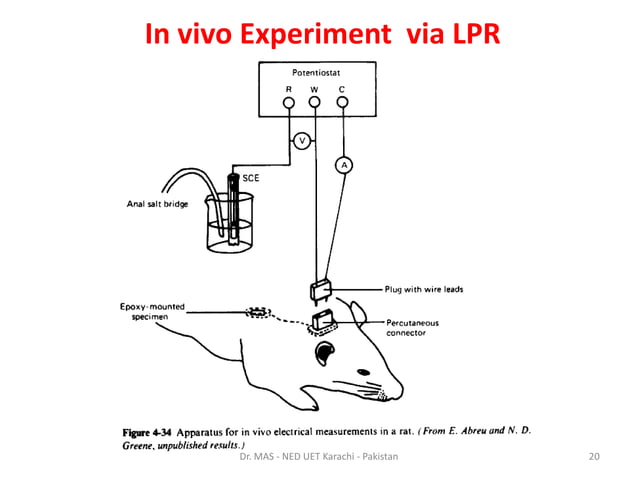 Corrosion Testing's: OCP, LPR, and PD | PDF