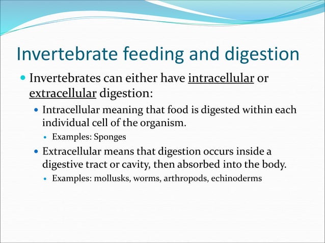 lecture_20_anatomy.ppt