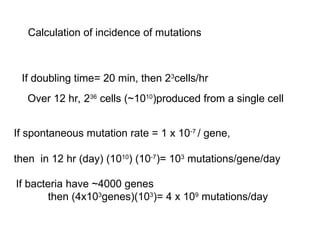 Lecture20BactGen decryption for MBBS students.ppt