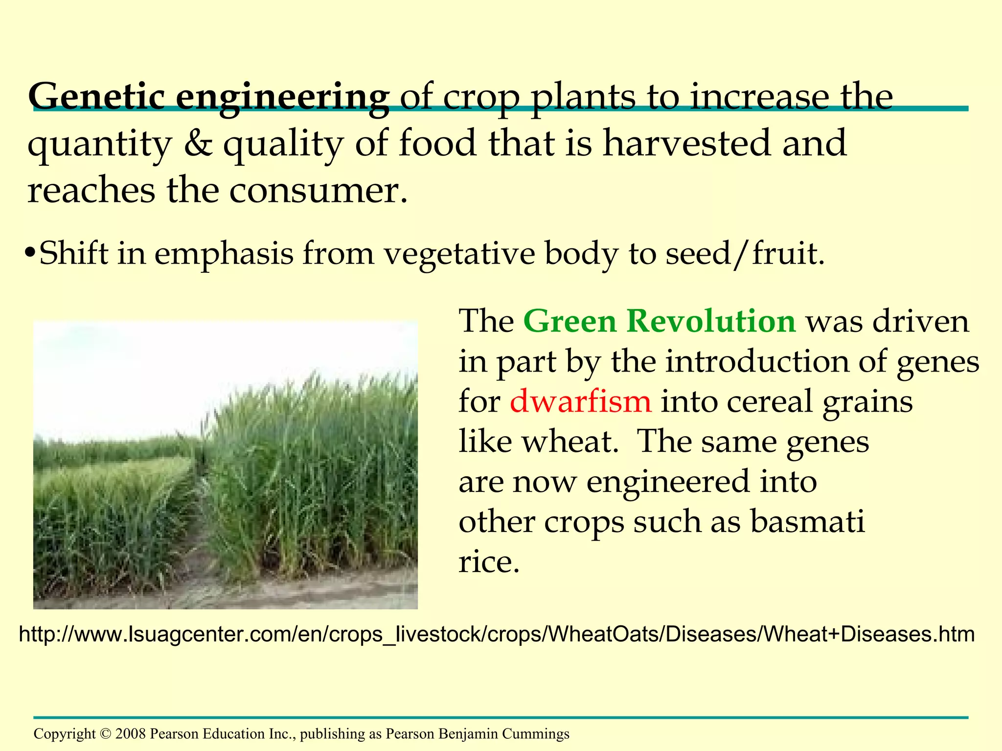 Lecture 20 biotechnology | PPT