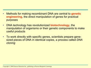 Lecture 20 biotechnology | PPT