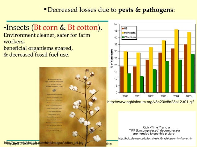 Lecture 20 biotechnology | PPT