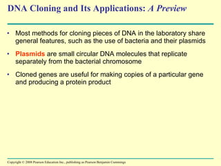 Lecture 20 biotechnology | PPT