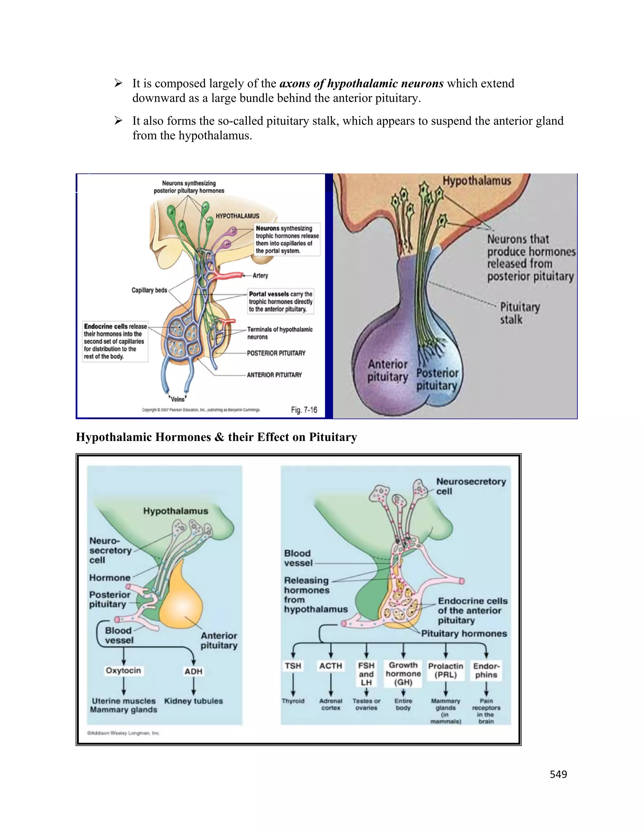 Lecture 20 disorders of hypothalamus, pituitary and thyroid glands ...