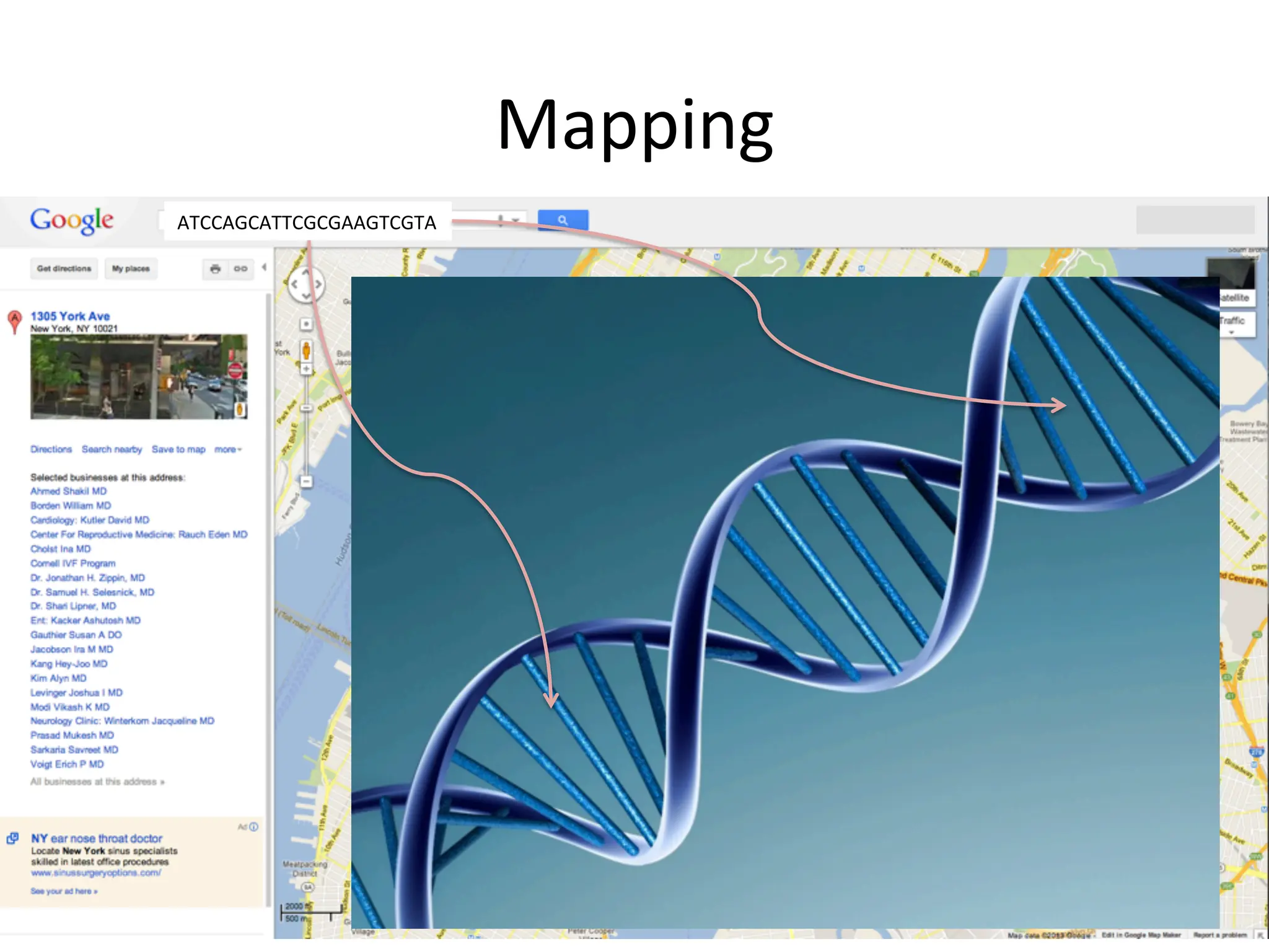 RNA sequencing analysis tutorial with NGS | PDF | Genetics | Science