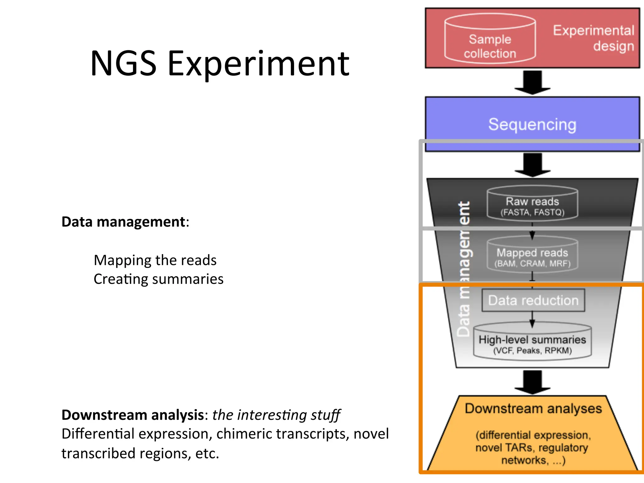 RNA sequencing analysis tutorial with NGS | PDF | Genetics | Science