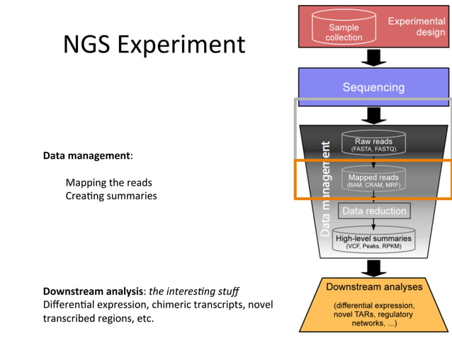 RNA sequencing analysis tutorial with NGS | PPT