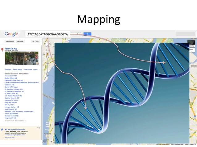 RNA sequencing analysis tutorial with NGS | PDF | Genetics | Science