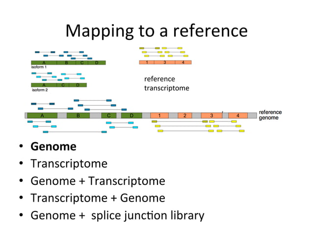 RNA sequencing analysis tutorial with NGS | PDF | Genetics | Science
