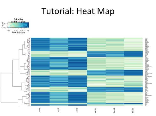 RNA sequencing analysis tutorial with NGS | PDF | Genetics | Science