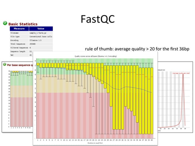 RNA sequencing analysis tutorial with NGS | PDF | Genetics | Science
