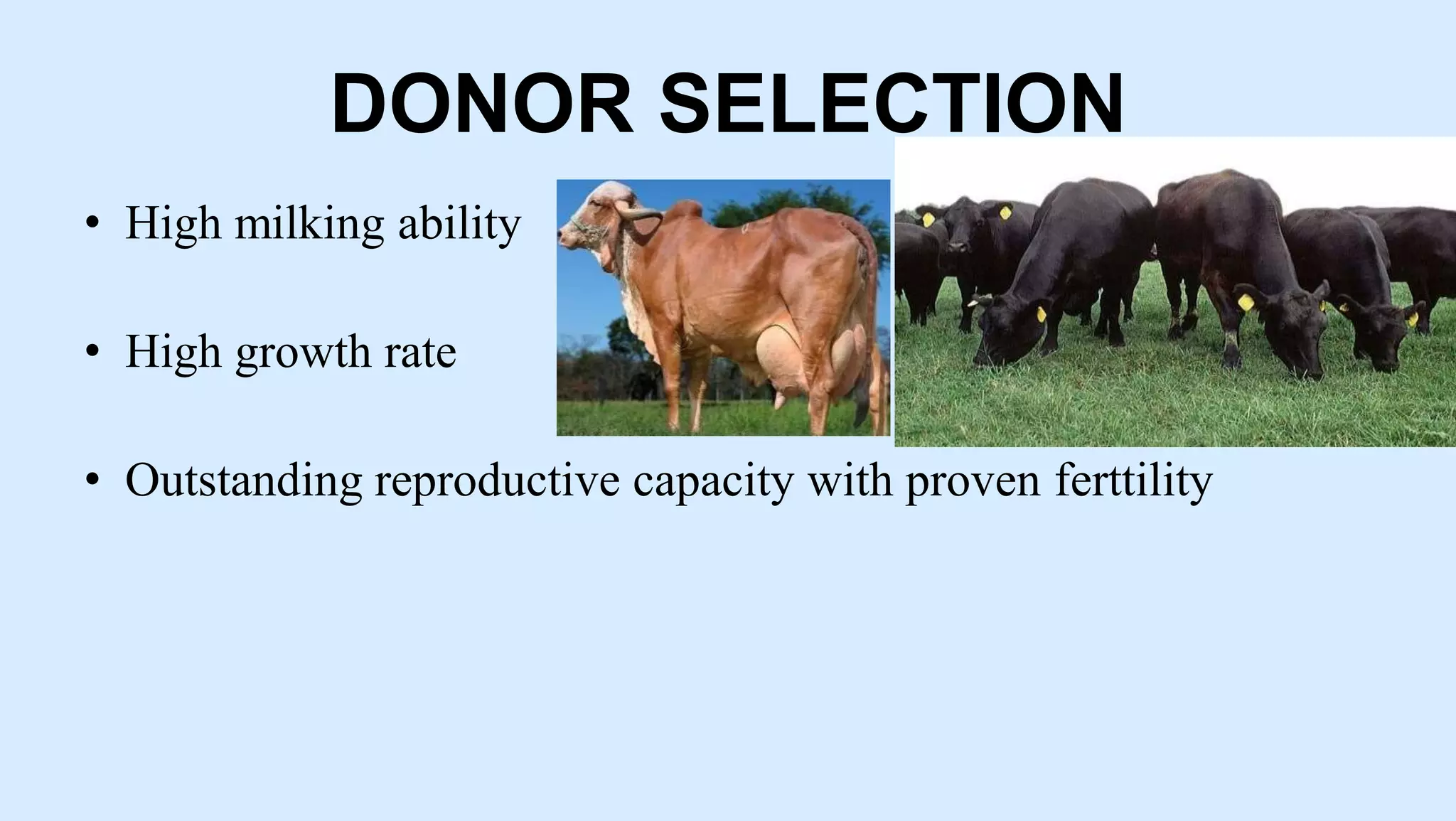Lecture 20 superovulation and embryo transfer in cattle | PDF