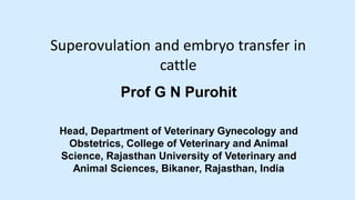 Lecture 20 superovulation and embryo transfer in cattle | PDF