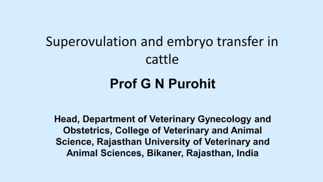 Lecture 20 superovulation and embryo transfer in cattle | PDF | Infertility | Reproductive Health