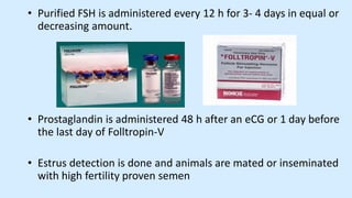 Lecture 20 superovulation and embryo transfer in cattle | PDF