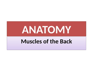 The muscles of the back lecture 21.pptx. | PPTX