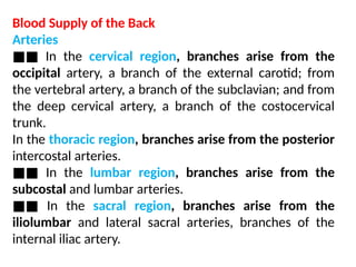 The muscles of the back lecture 21.pptx. | PPTX