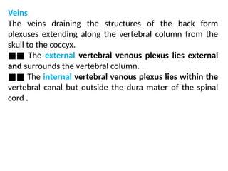 The muscles of the back lecture 21.pptx. | PPTX