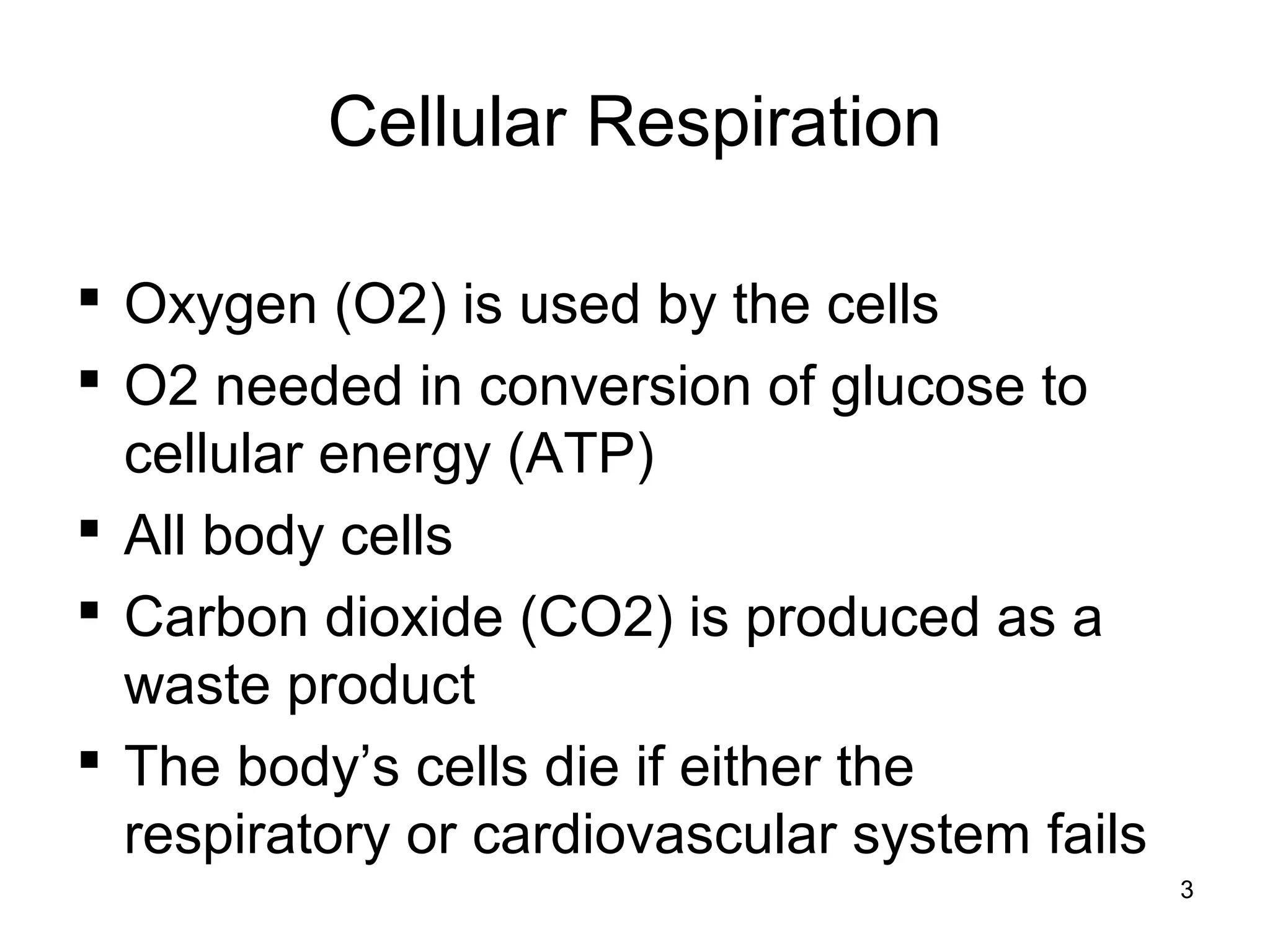Lecture 21 respiratory system | PPT