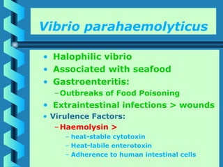 Lecture 21 Vibrio cholerae | PPT