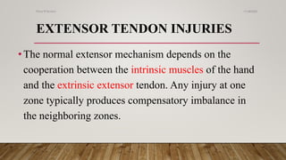 lecture 21(Extensor Tendon Injuries) .pdf
