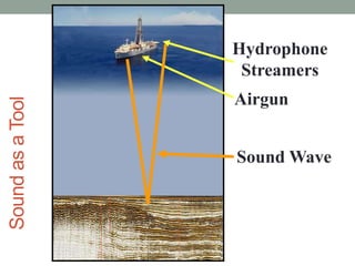 Geophysical Methods of Hydrocarbon Exploration | PPTX