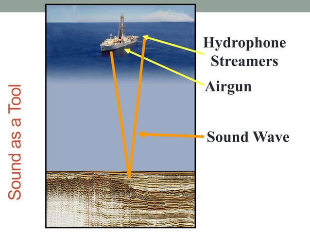 Geophysical Methods of Hydrocarbon Exploration | PPTX | Geology | Science