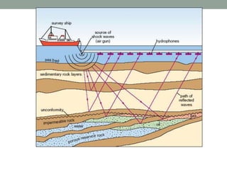 Geophysical Methods of Hydrocarbon Exploration | PPTX