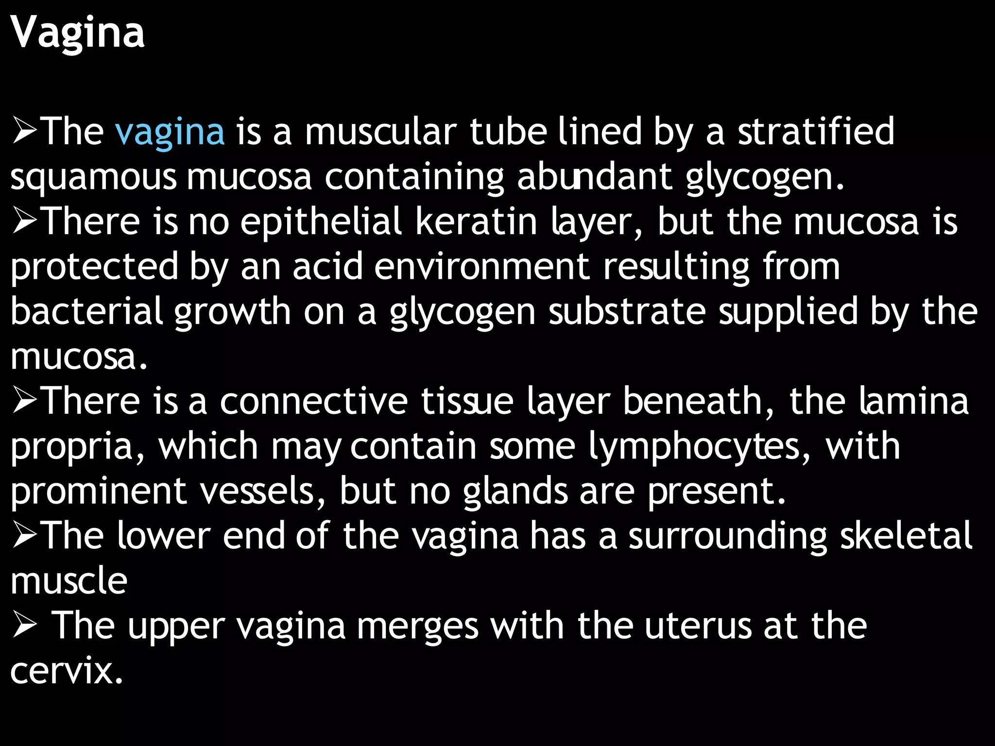 Histology Of Female Genital Tract Ppt